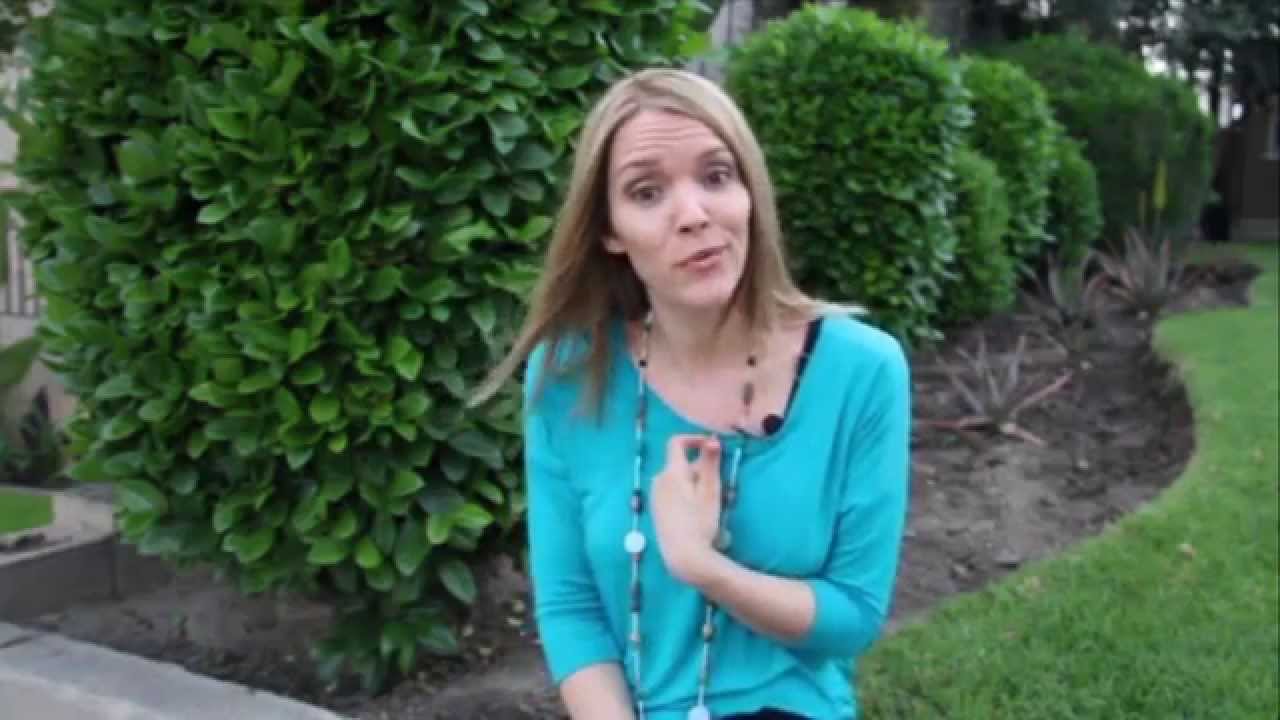 Parenting Tips - 10 Ways To Stop Entitlement Parenting - UsParenting.com