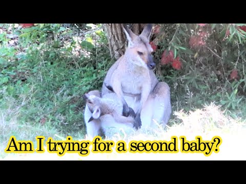 Second Baby? Single Mum By Choice #smbc #parenting - UsParenting.com