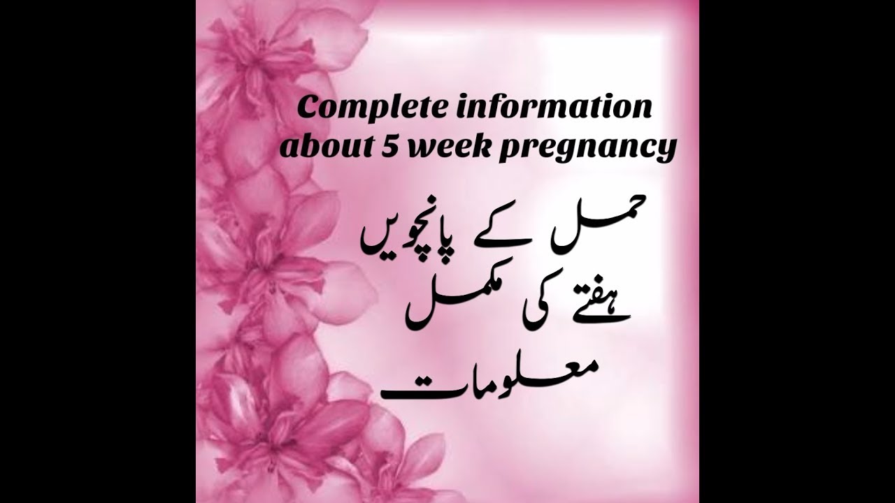 Pregnancy At 5 Weeks |week By Week Pregnancy | Pregnancy Guide | Mother ...