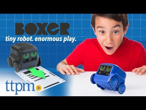Boxer - Interactive A.I. Robot Toy From Spin Master - UsParenting.com