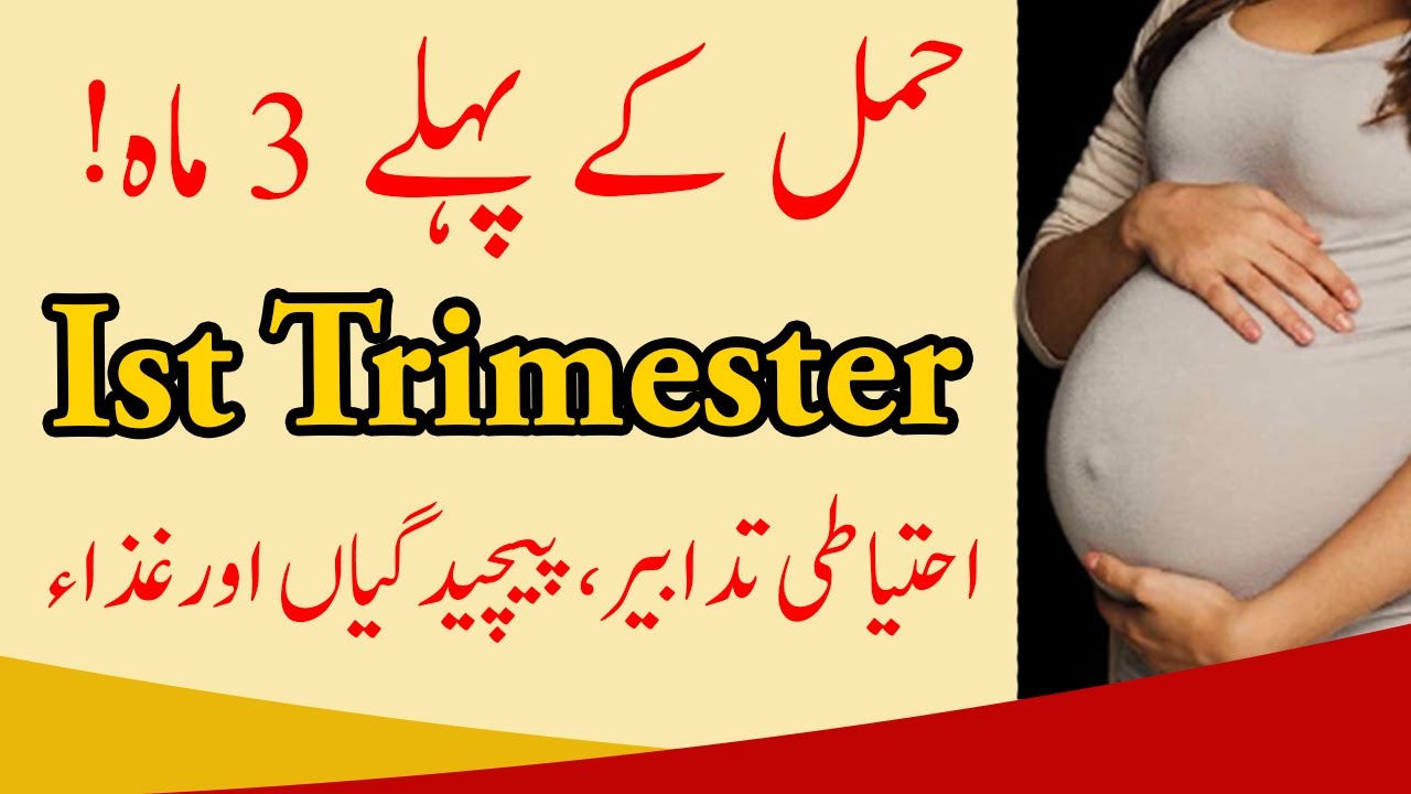 First Trimester Of Pregnancy Tips (Urdu/Hindi) | Hamal Ke Pehle Teen ...