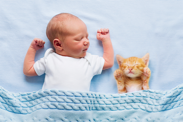 6 Tips To Deal With A Catnapping Baby - UsParenting.com