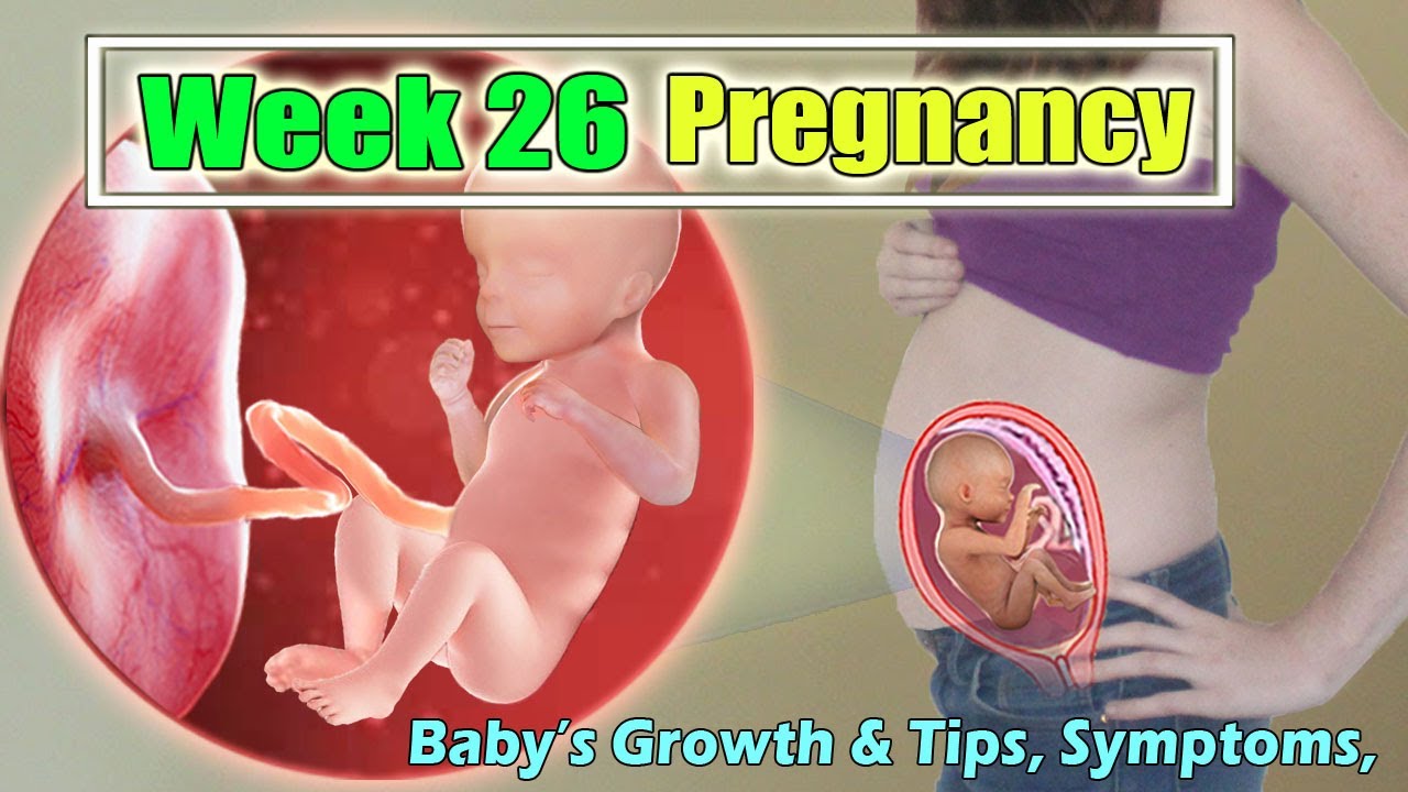26 WEEKS PREGNANCY SYMPTOMS, BABY’S GROWTH, AND BEST HEALTHY PREGNANCY ...