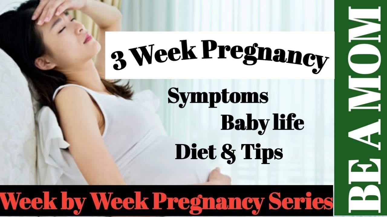 3rd Week Of Pregnancy , Week By Week Pregnancy Guide, Tips For Healthy ...