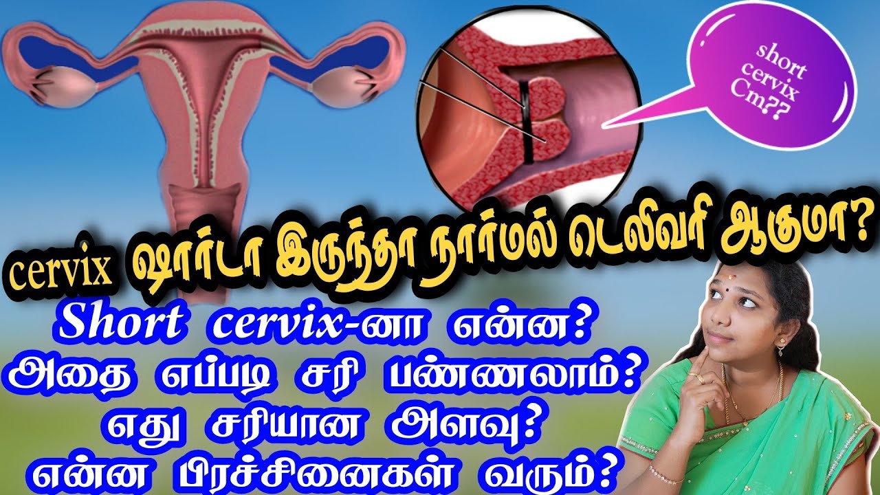 Short Cervix During Pregnancy In Tamil/cervix Dilation/karupai Vai ...