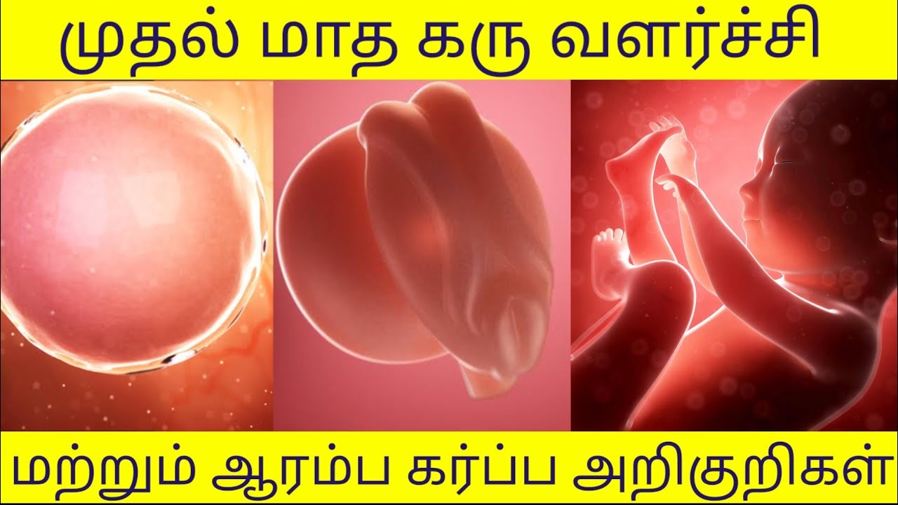 First Month Baby Growth And Symptoms In Tamil | Baby Growth First Month ...