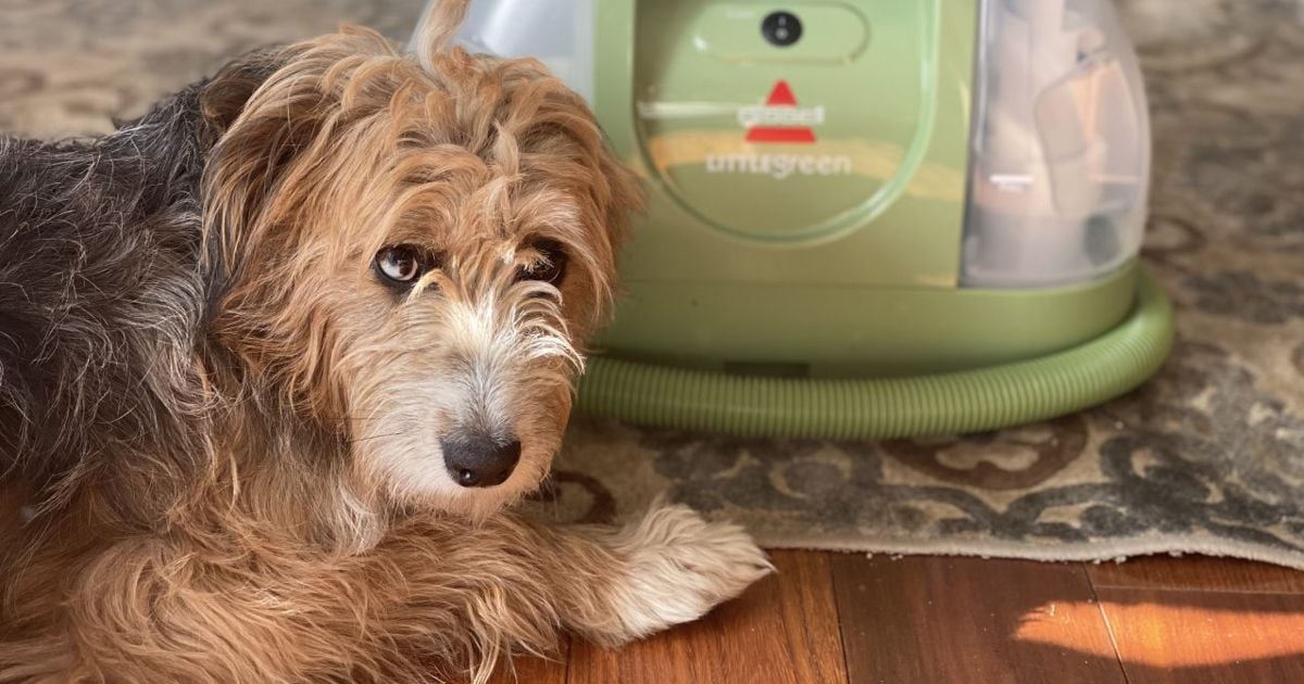 Little Green Machine Review 2023 - UsParenting.com